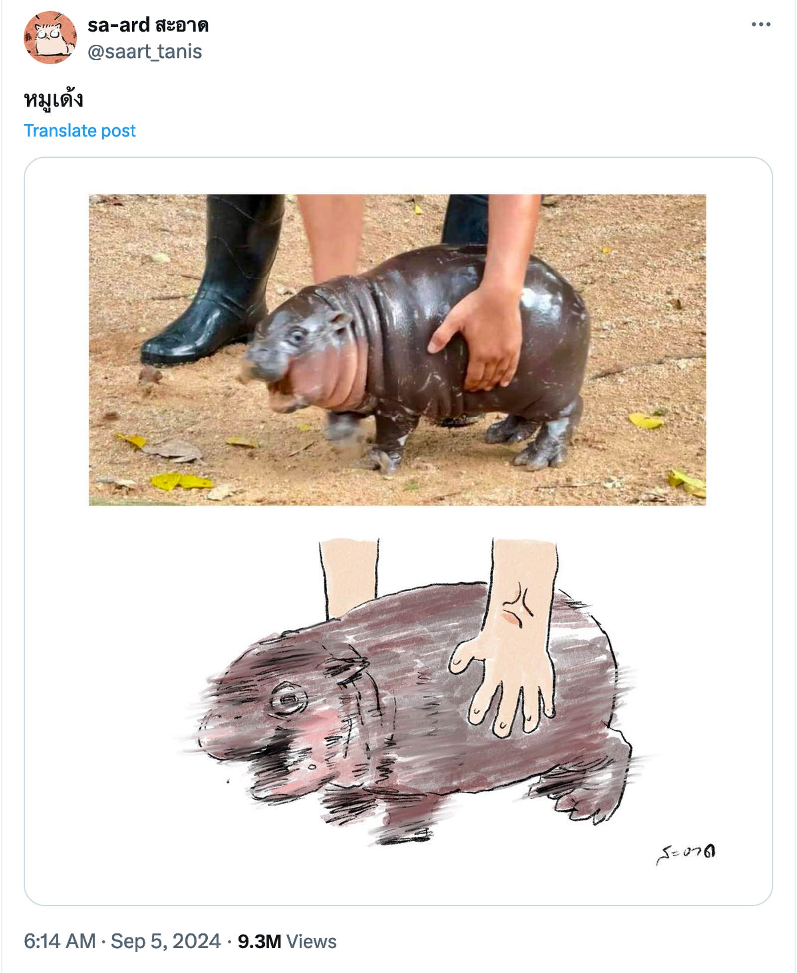 Meme History: Moo Deng