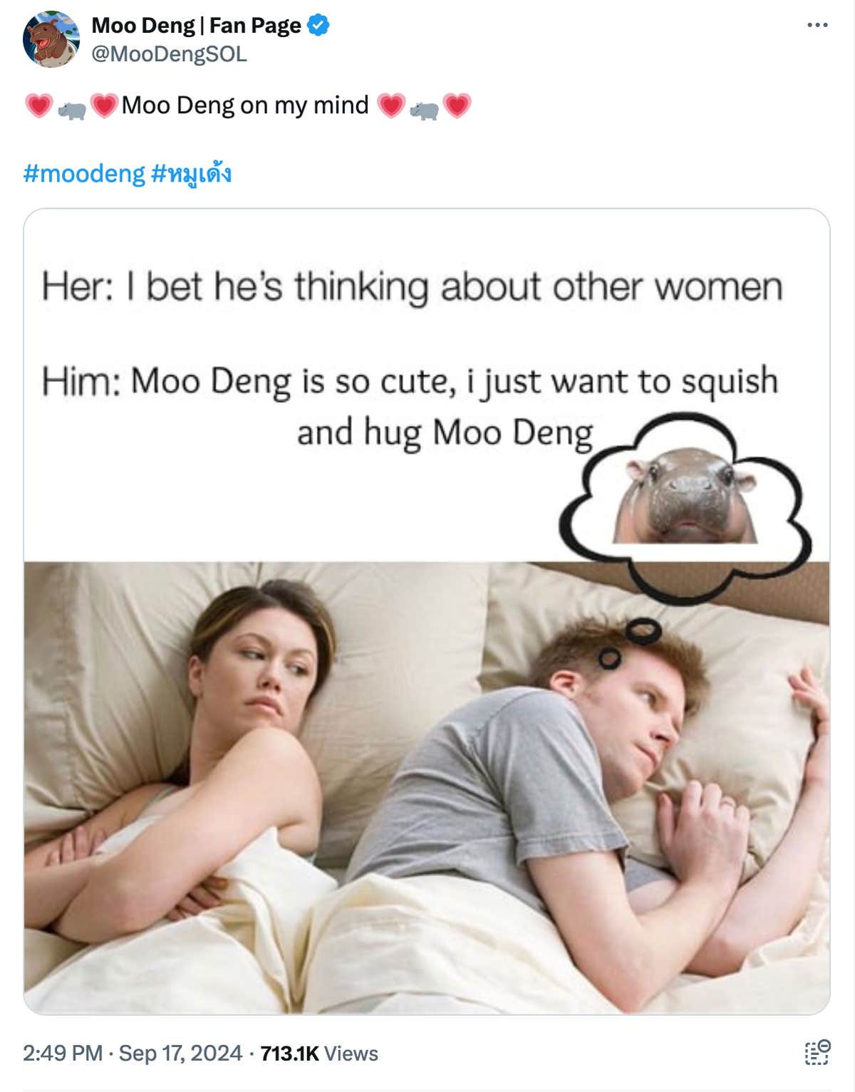 Meme History: Moo Deng