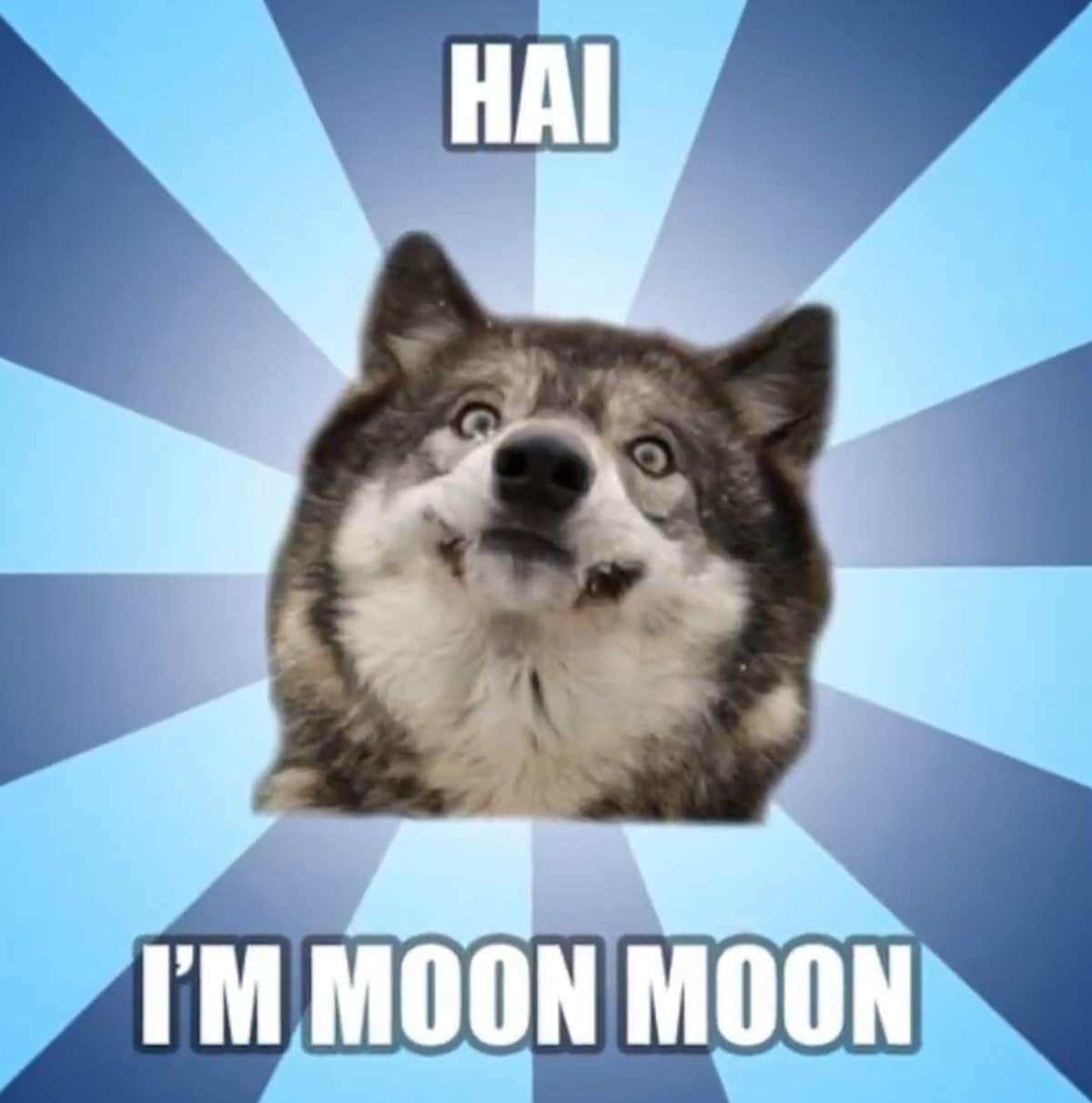 Meme History: Moon Moon
