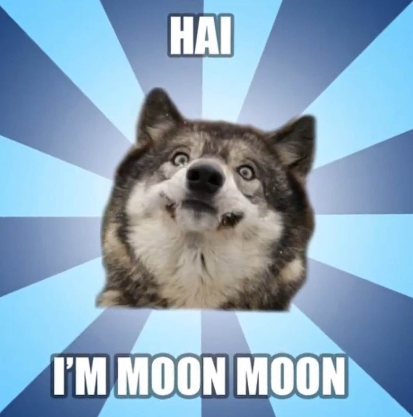Meme History: Moon Moon