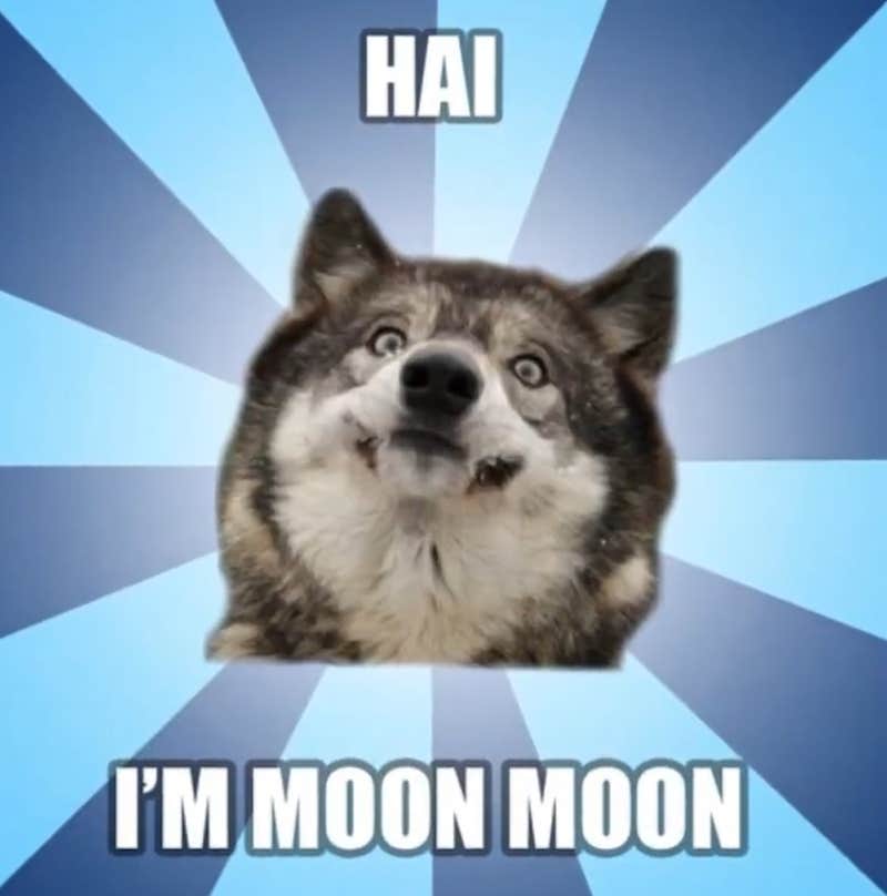 Meme History: Moon Moon