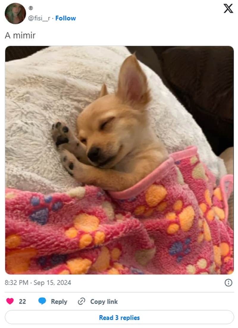 A Mimir, Two Mimir: A Meme