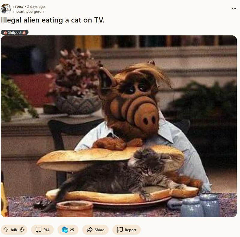 Alf Cat Memes Surge Following Trump's 'Eating Pets' Claim