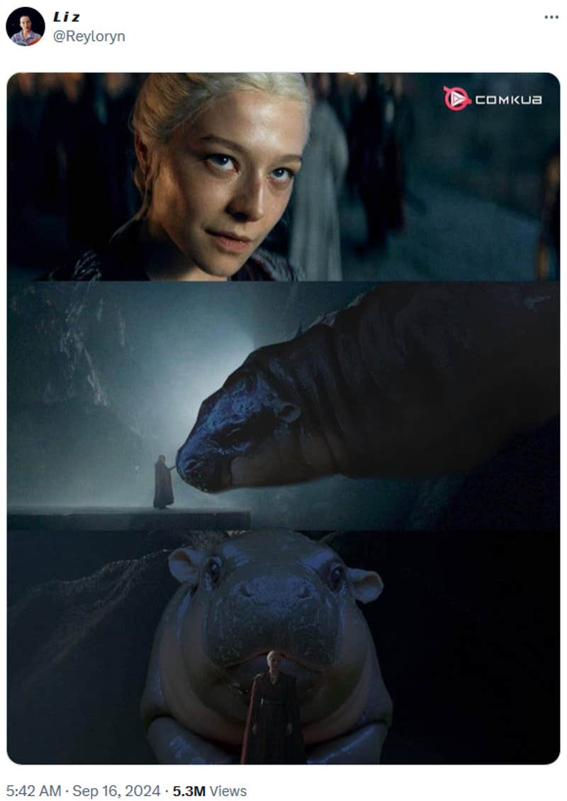 29 Moo Deng Hippo Memes That Will Make You Scream