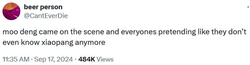 29 Moo Deng Hippo Memes That Will Make You Scream