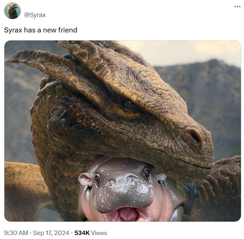 29 Moo Deng Hippo Memes That Will Make You Scream