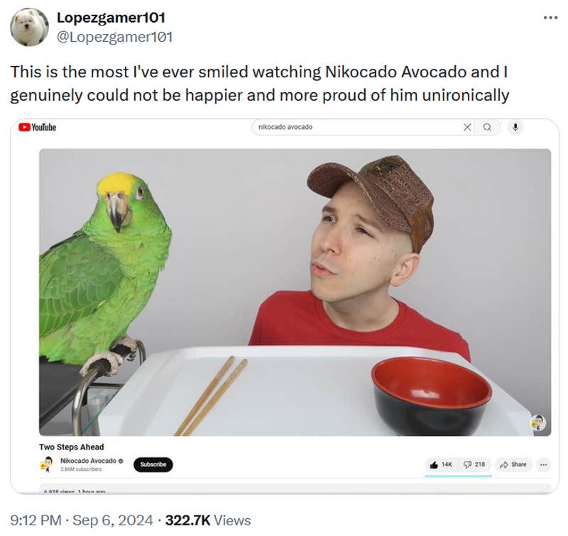 Nikocado Avocado Reveals Two-Year Transformation 'Experiment'