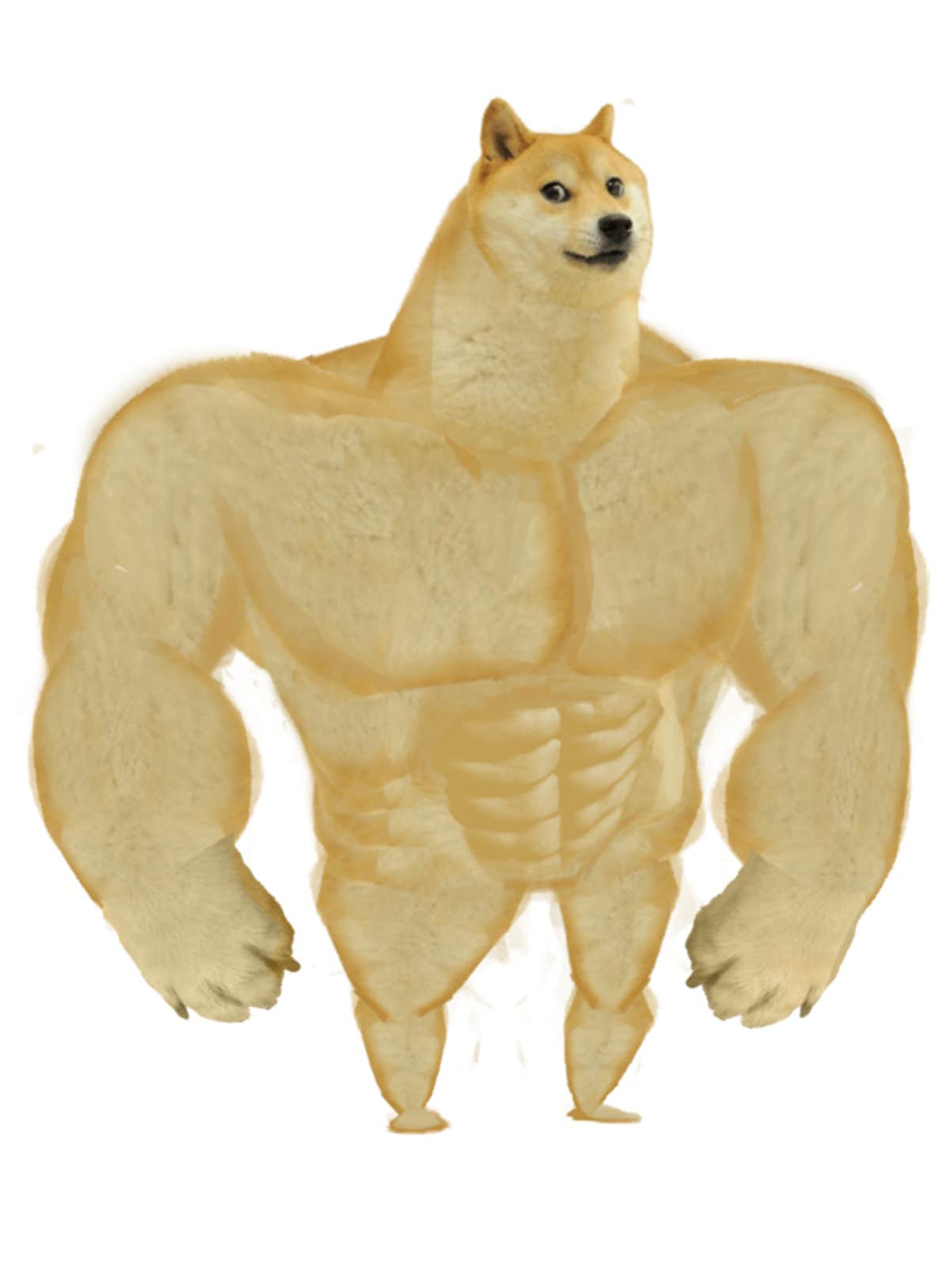 Swole Doge Meme: Origins, Spread, Examples