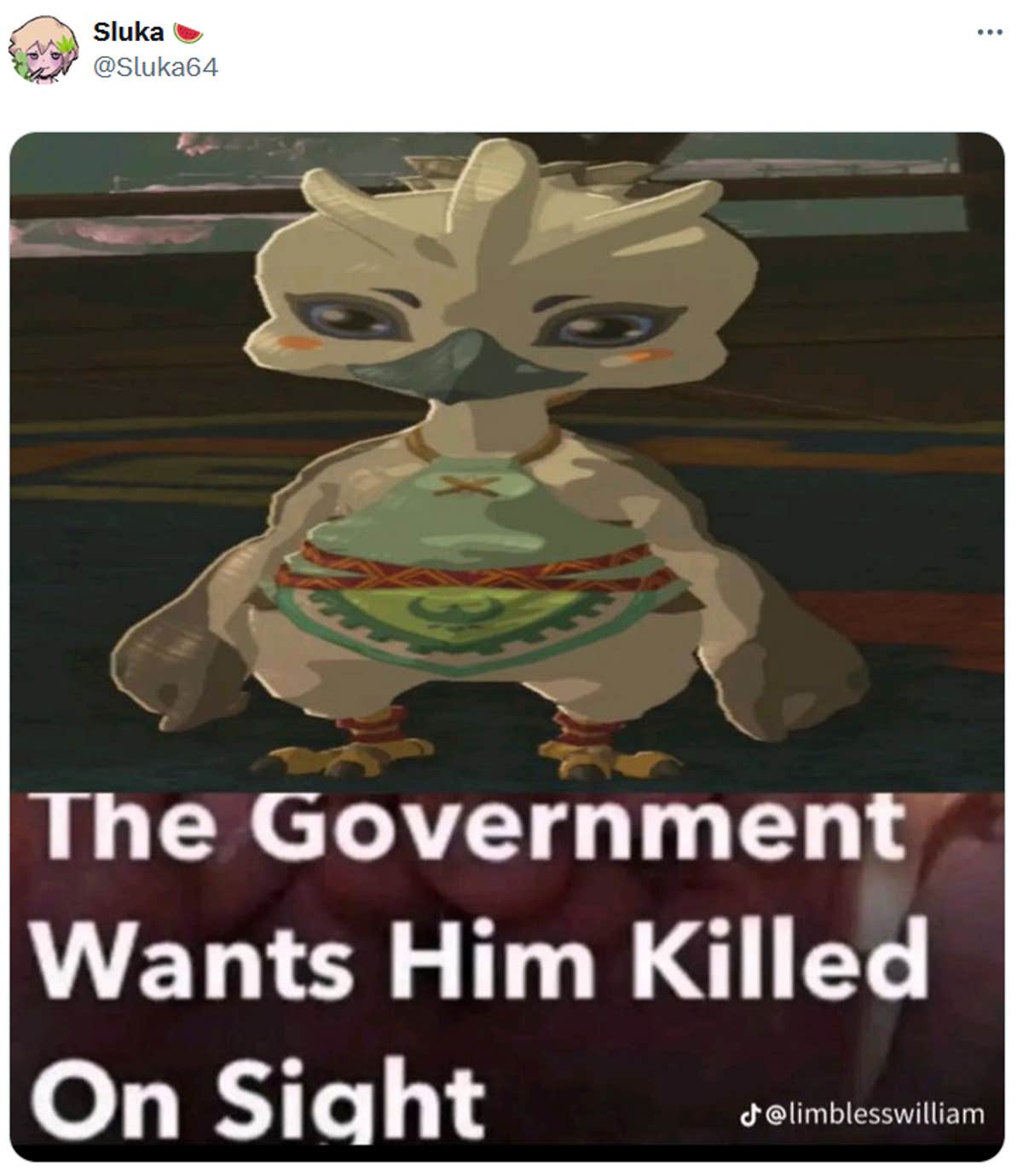 The Government Wants Him Killed On Sight: An Orangutan Meme