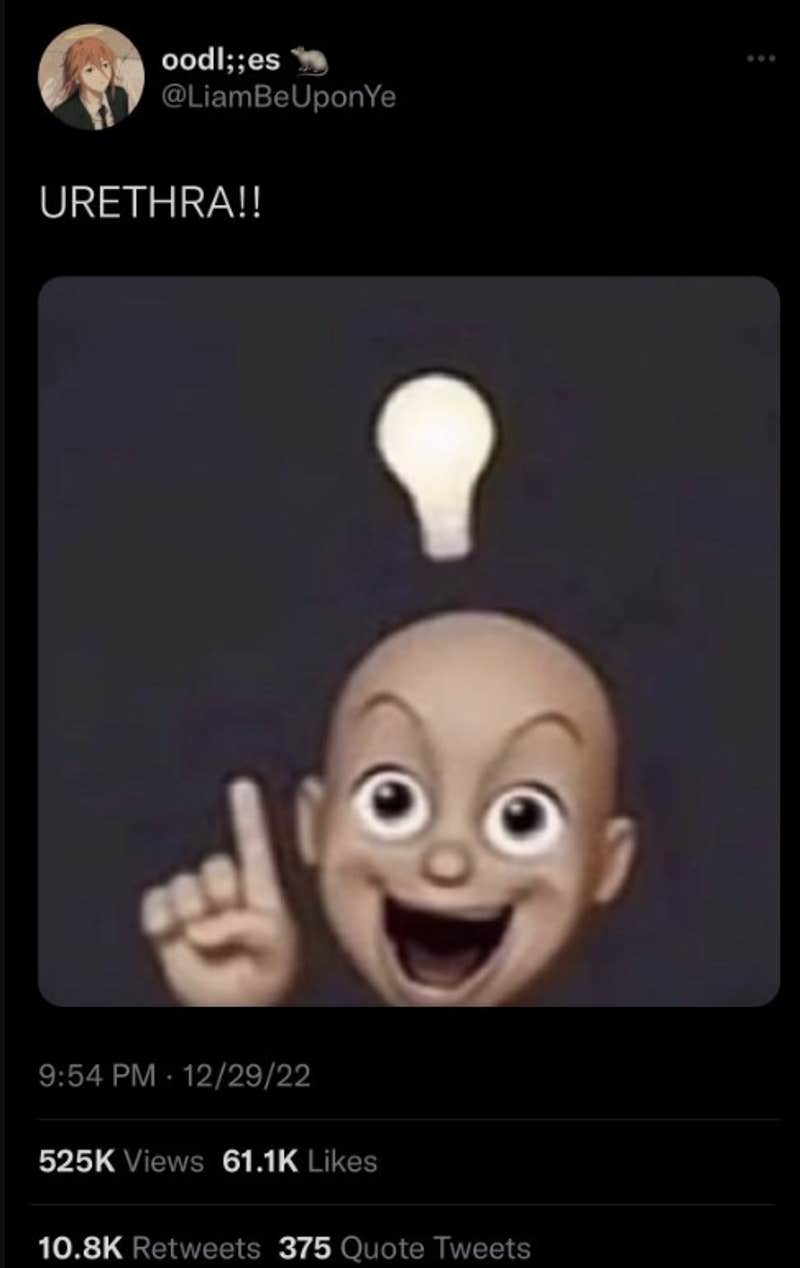 The URETHRA!! Meme: Origins, Examples, Variations