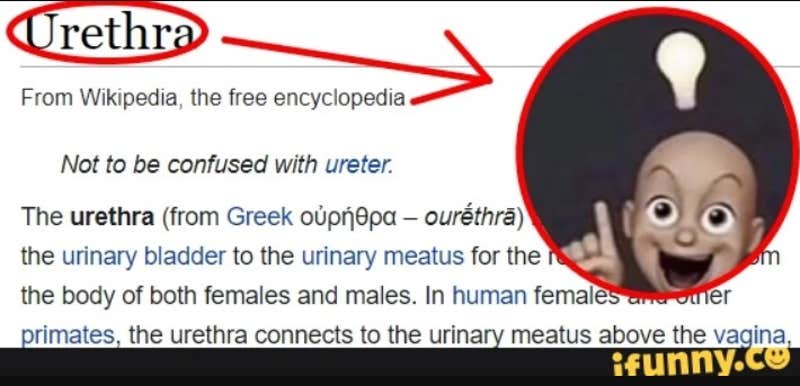 The URETHRA!! Meme: Origins, Examples, Variations