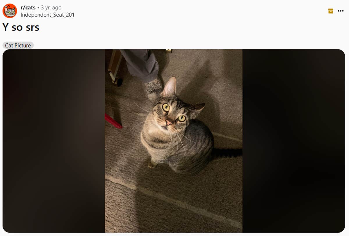 Why So Serious? Meme