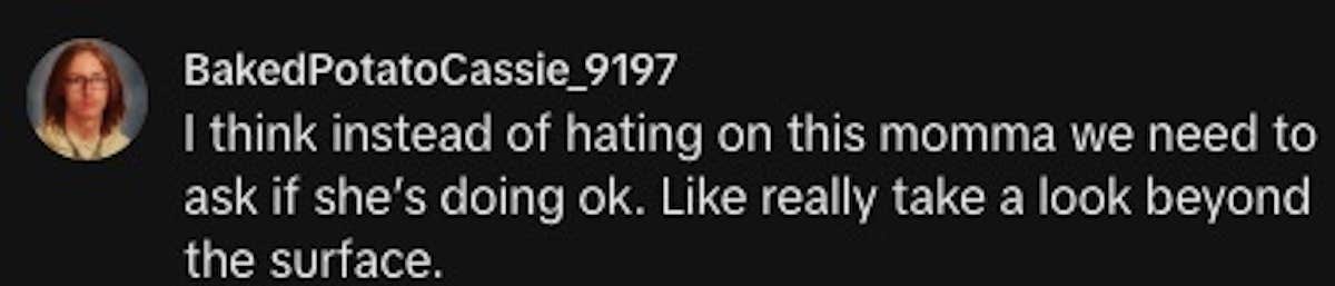 What's Up With The 17 Diapers Mom TikTok Drama?