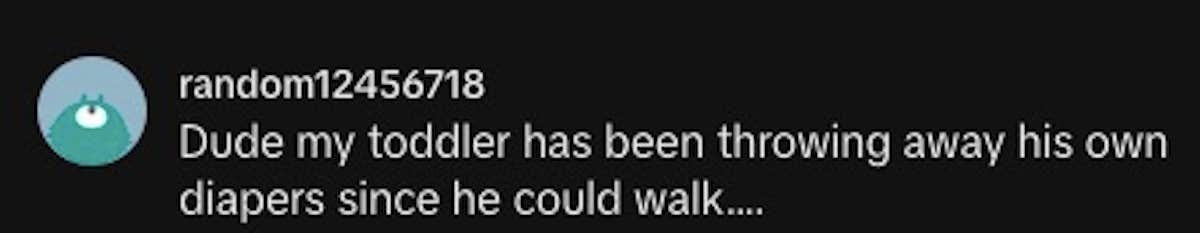 What's Up With The 17 Diapers Mom TikTok Drama?