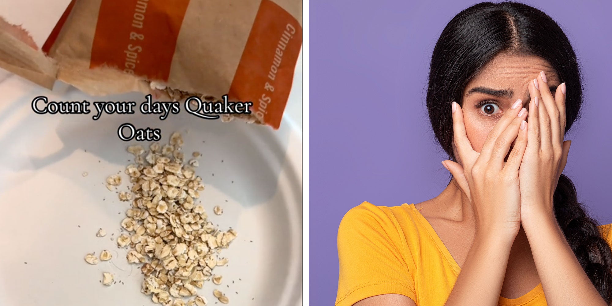 How Can Bugs Get Into Quaker Oats Instant Oatmeal?