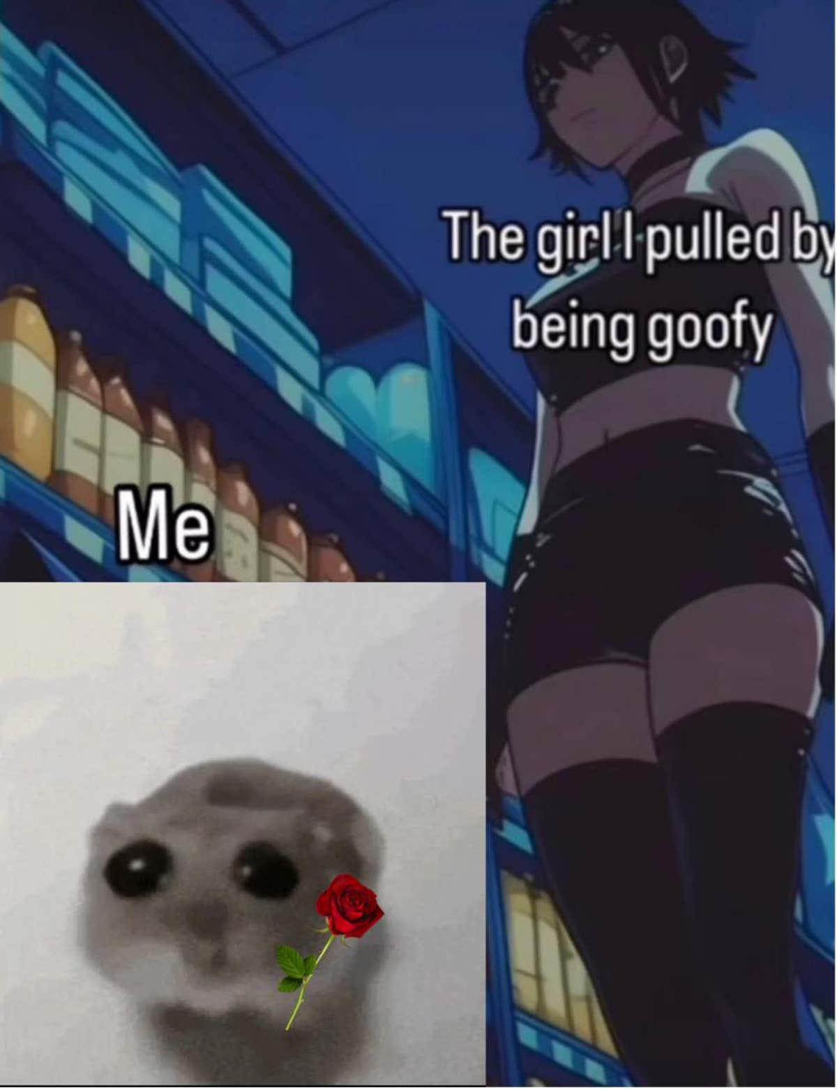 The Rise Of The Hampter Meme