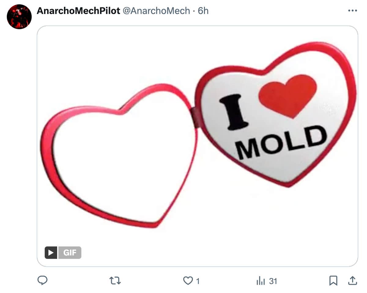 'I Like My Cheese Drippy Bruh'—Logan Paul's Lunchly Catchphrase Goes Viral