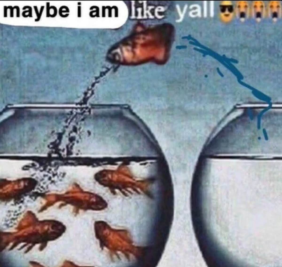 I'm Nothing Like Y'all: A Fish Meme