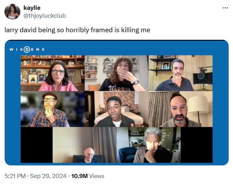 Glitchy 'Veep' Reunion Spawns The Larry David Zoom Call Meme