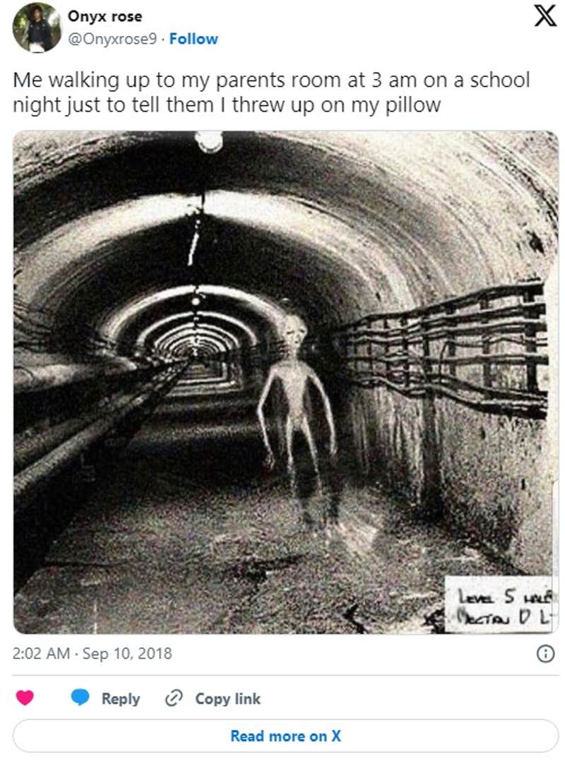 The 'Mom I Threw Up' Meme And Its Many Variations