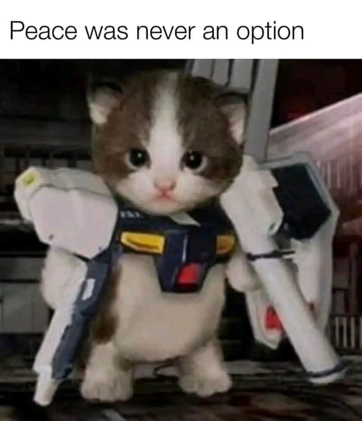 'Peace Was Never An Option' AKA Peace Goose Meme: Origins