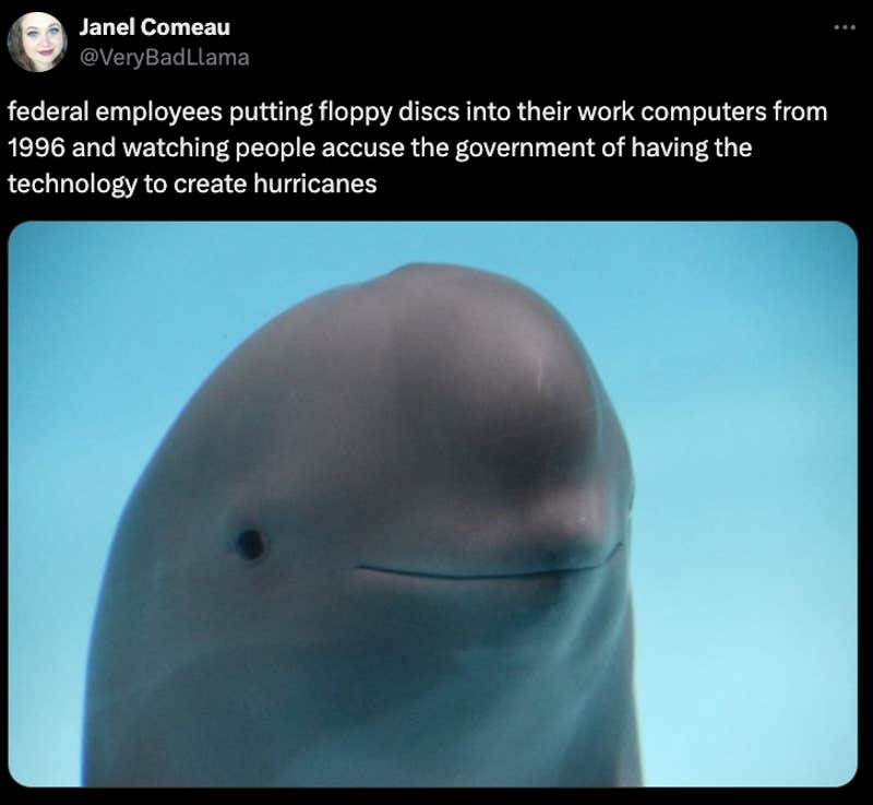 The Smiling Dolphin Meme Is Actually A Porpoise And He's Tired