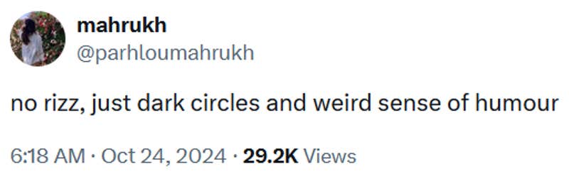 What Is A Rizz Meme? Origins & Examples