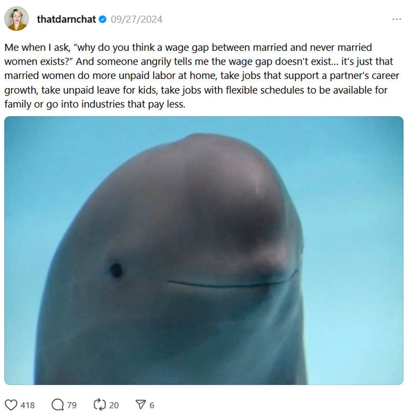 The Smiling Dolphin Meme Is Actually A Porpoise And He's Tired
