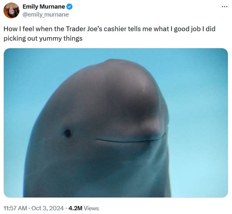 The Smiling Dolphin Meme Is Actually A Porpoise And He's Tired