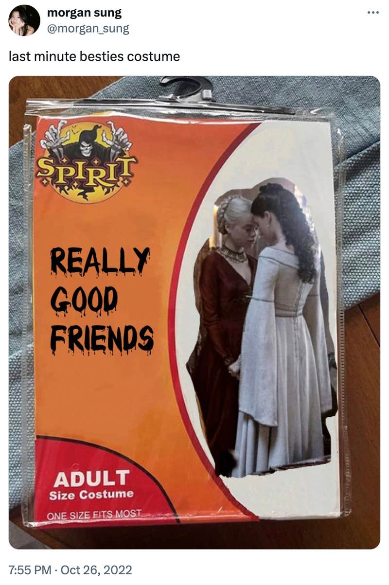 33 Of The Best Spirit Halloween Costume Memes, 2024 Edition