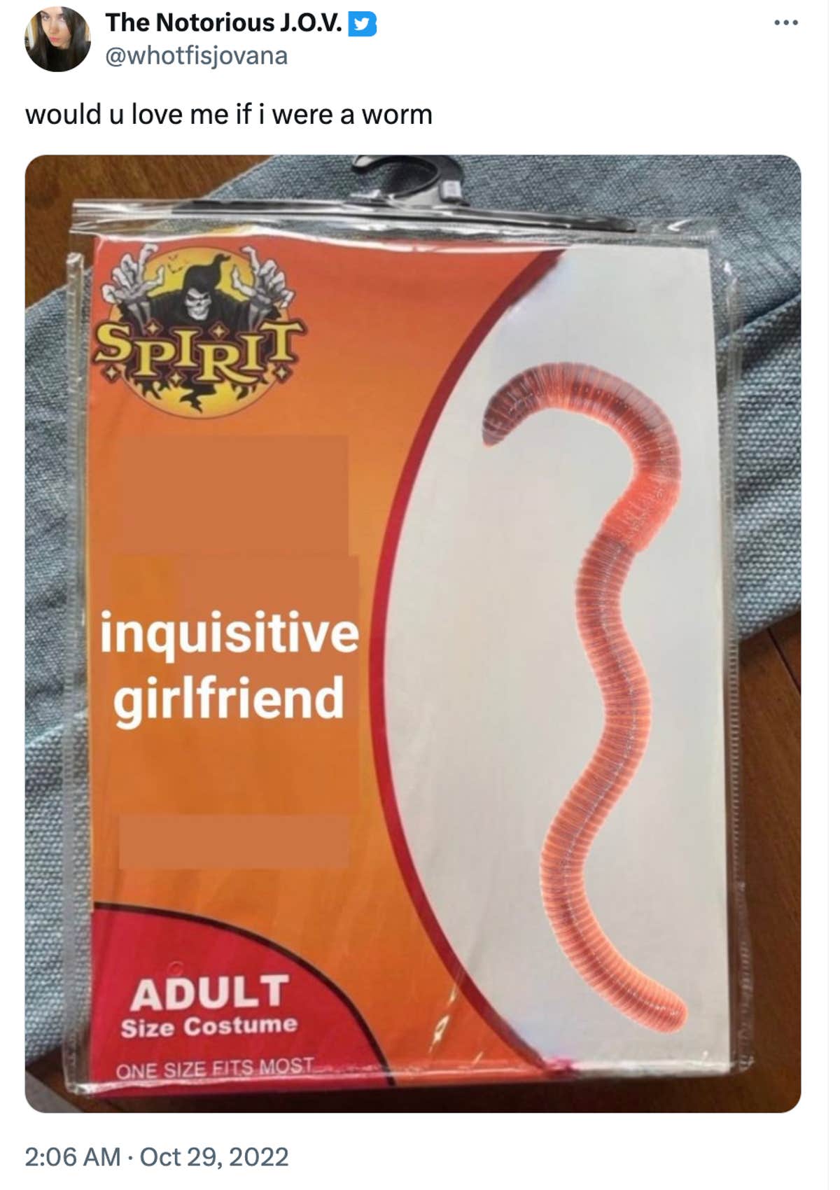 33 Of The Best Spirit Halloween Costume Memes, 2024 Edition