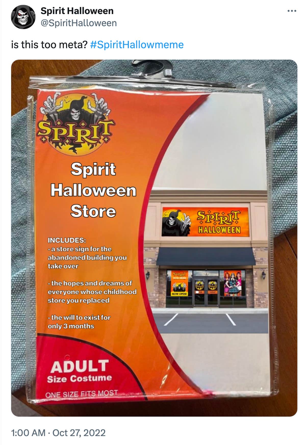 33 Of The Best Spirit Halloween Costume Memes, 2024 Edition