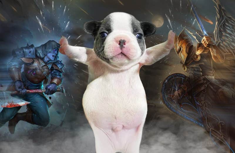 Stop Fighting Dog Meme: The Enduring Appeal Of T-Pose Puppy