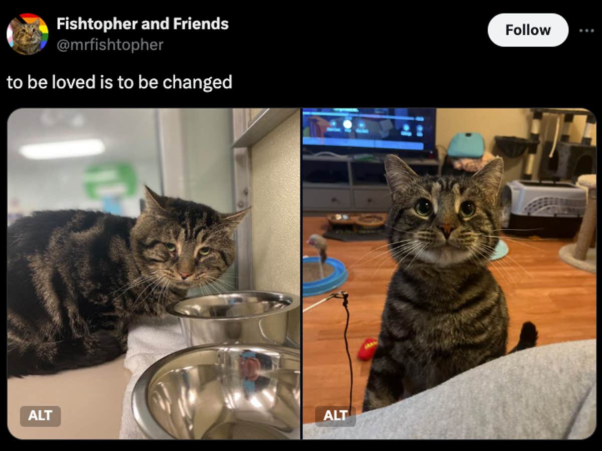 What Is The 'To Be Loved Is To Be Changed' Meme/TikTok Trend?