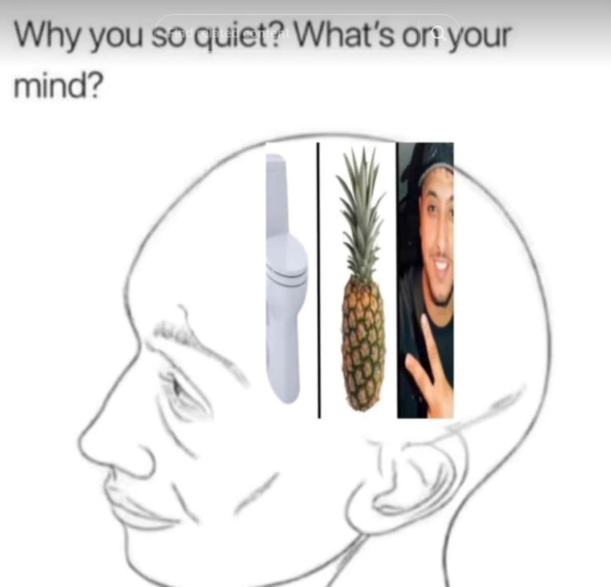 Toilettes Ananas Nasdas—A French TikTok Brainrot meme