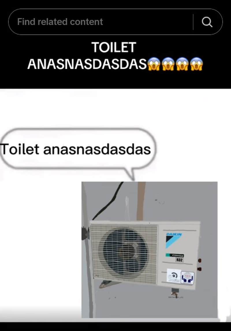 Toilettes Ananas Nasdas—A French TikTok Brainrot meme
