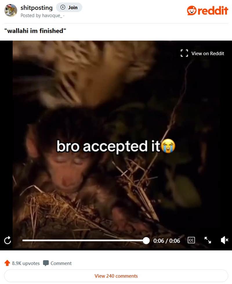 'Wallahi, I'm Finished': A Reaction Meme