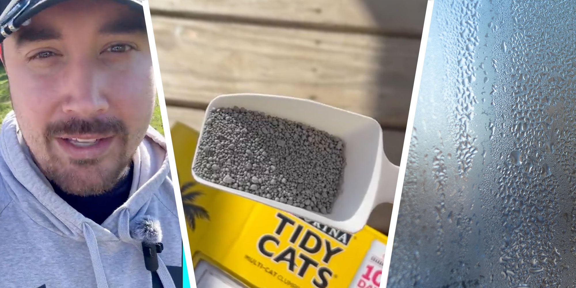 Do These Cat Litter Car Tricks Actually Work?