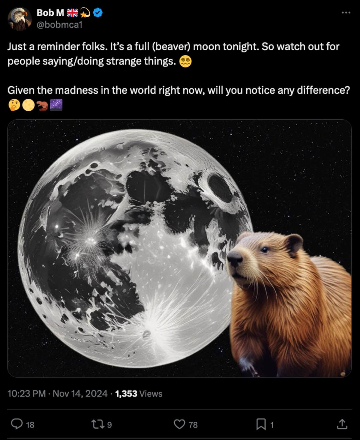 Beaver Moon Memes For Your Beaver Moon Friday