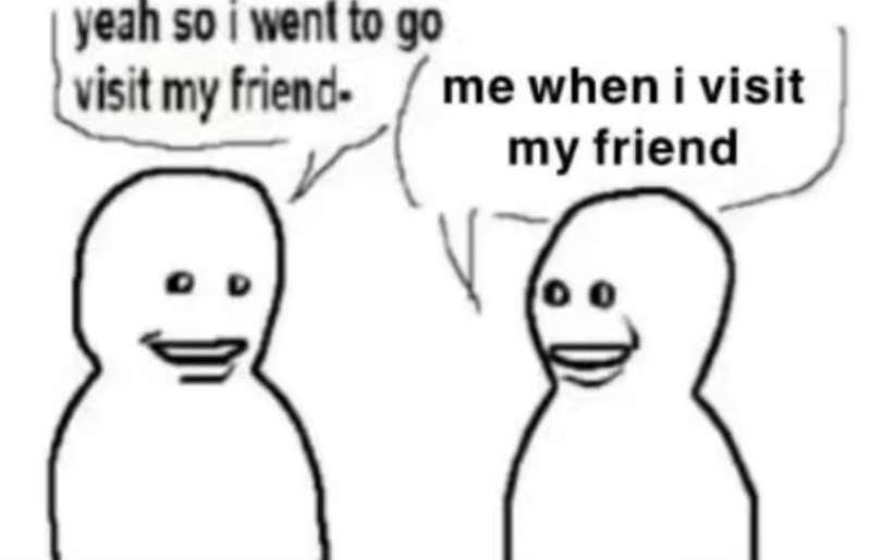 Bro Visited His Friend Meme, AKA Friendpilled Visitmaxxer