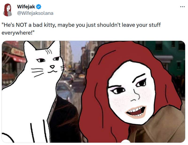 Catjak Joins The Wojak Family