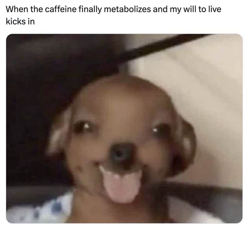 35 Of The Funniest Coffee Memes