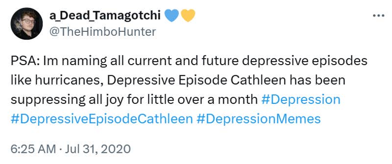 45 Of The Funniest Depression Memes