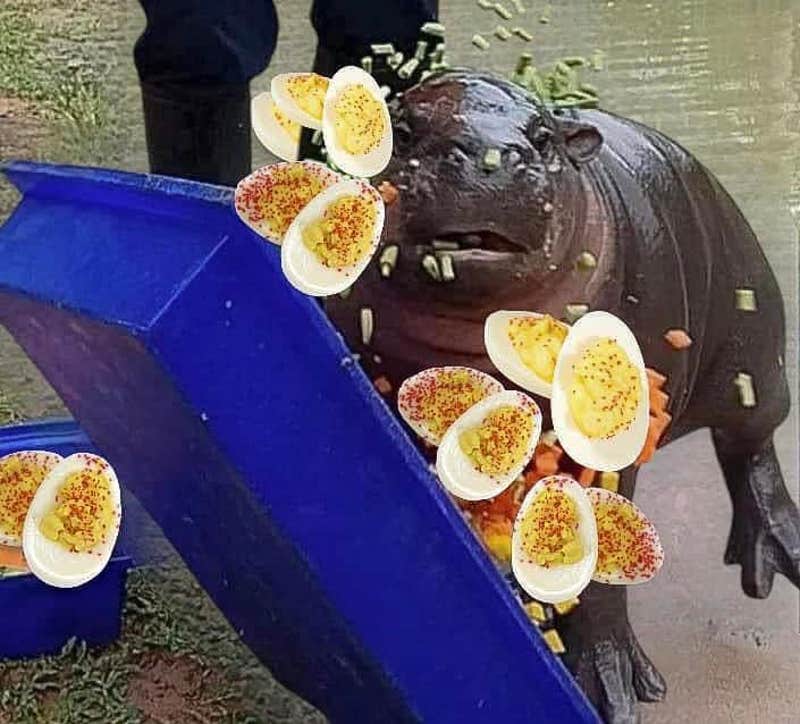 20 Delicious Deviled Egg Memes