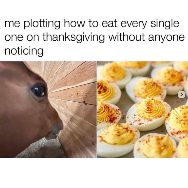 20 Delicious Deviled Egg Memes