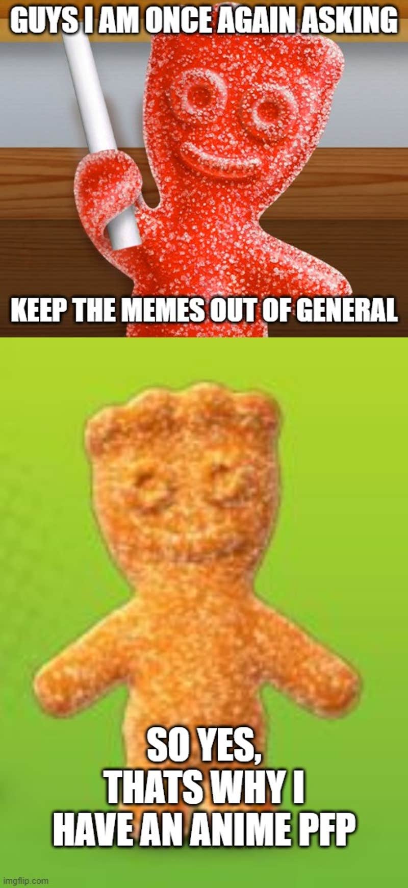 What Is The Discord Mod Meme?