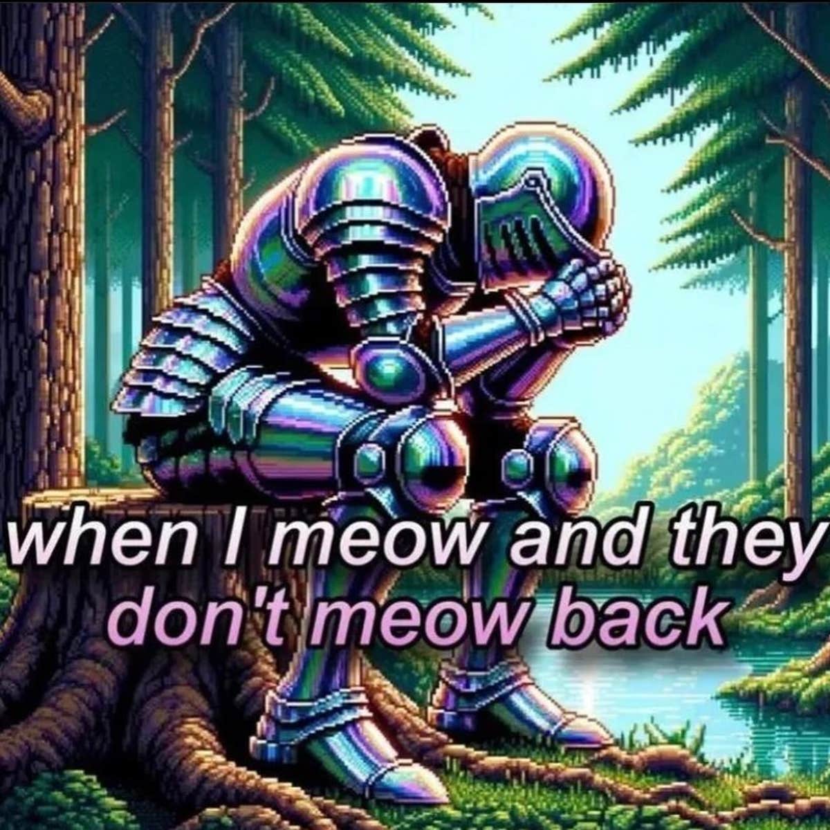 60 Of The Funniest Cat Memes On The Internet