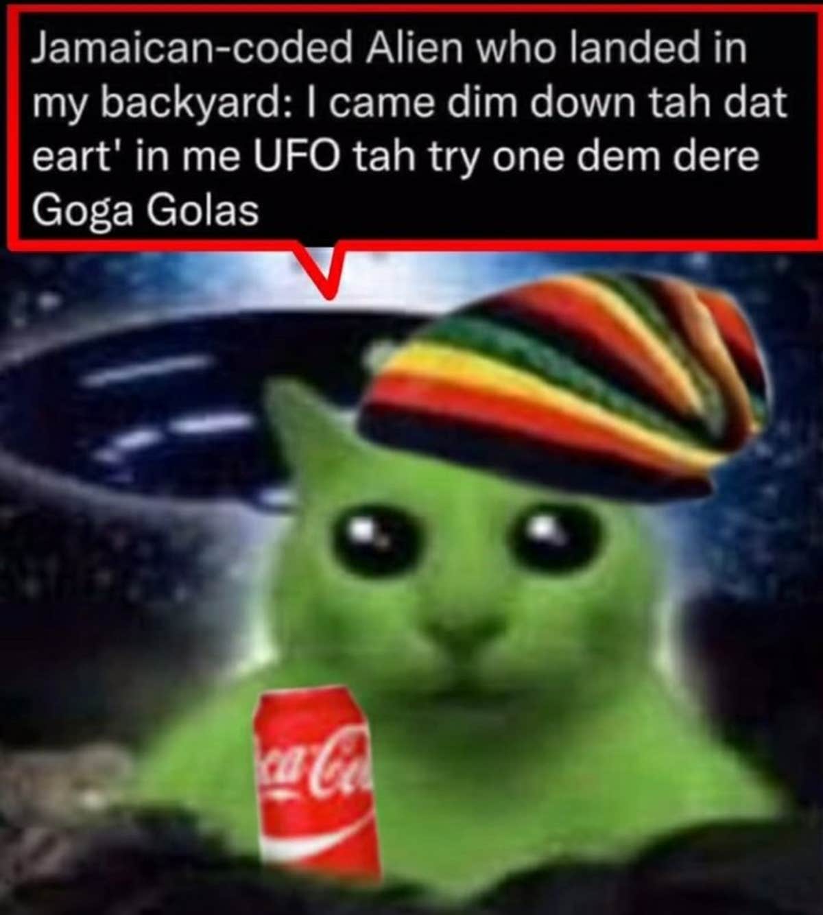 60 Of The Funniest Cat Memes On The Internet