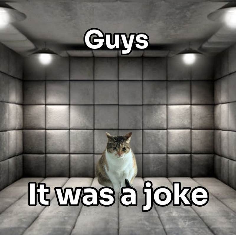 60 Of The Funniest Cat Memes On The Internet
