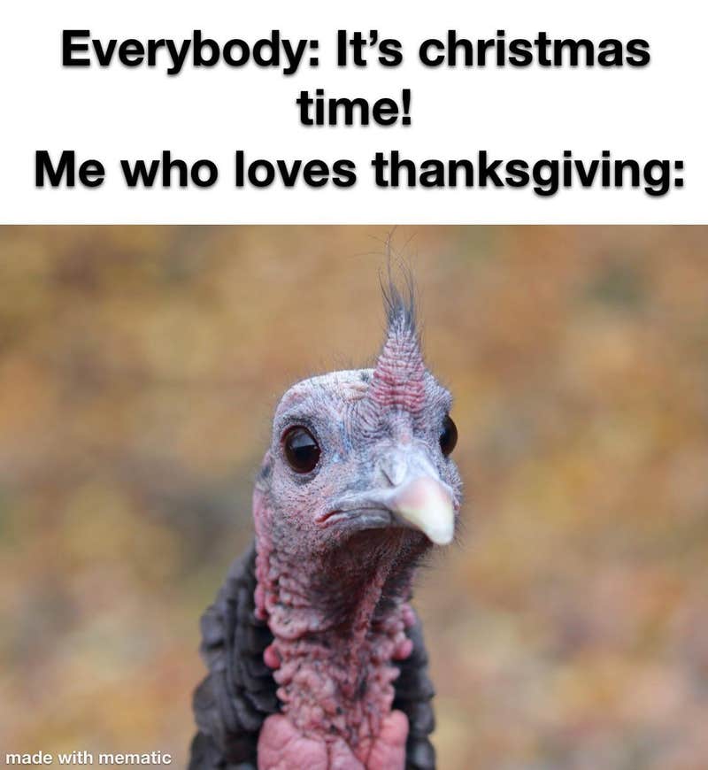 28 Of The Funniest Thanksgiving Memes, 2024 Edition